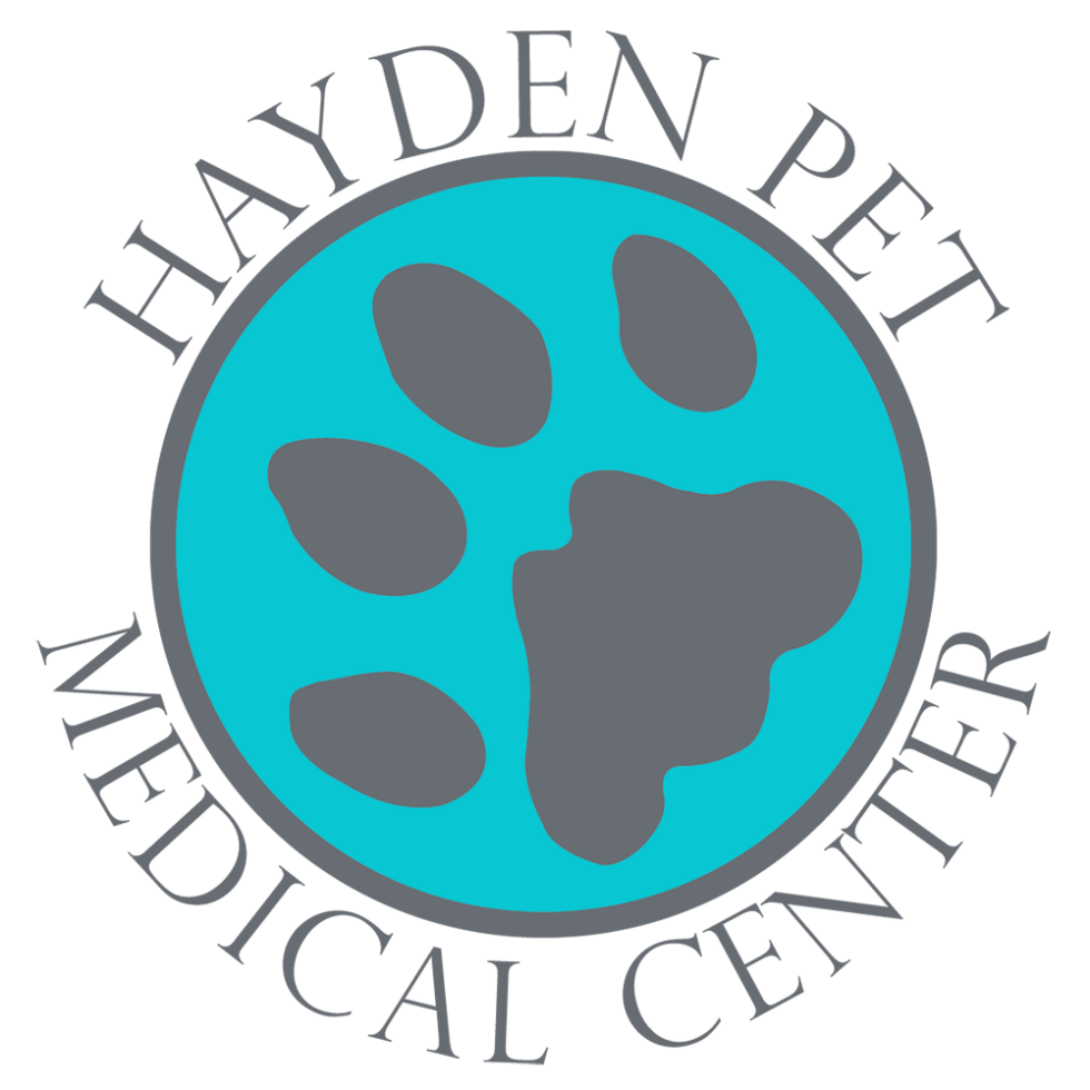 Best Veterinary Hospital In Hayden, ID | Hayden Pet Medical Center